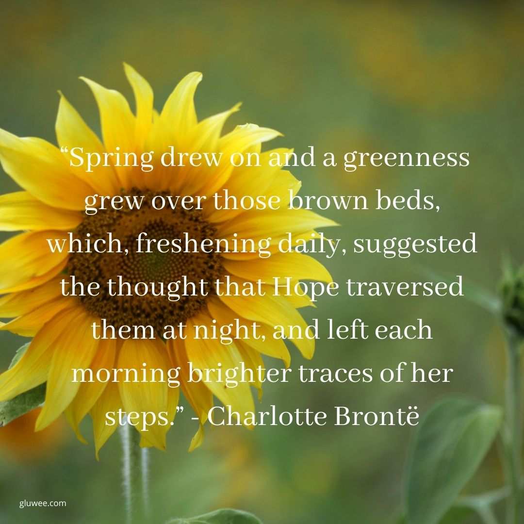 100 Spring Quotes That Give True Meaning In One Moment - Gluwee