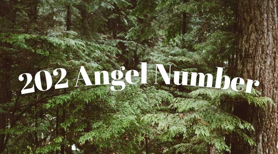202 Angel Number Meaning in Duality and Rebirth - Gluwee