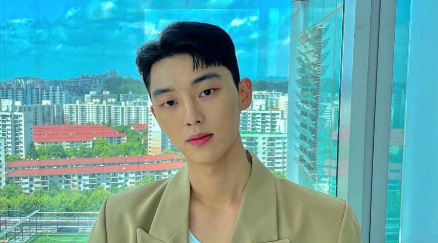 Choi Hyun Wook - Bio, Profile, Facts, Age, Girlfriend, Ideal Type